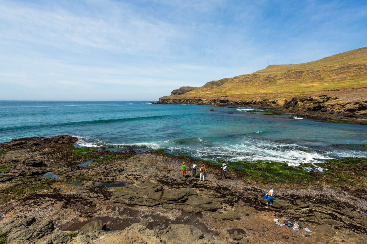 Home - Santa Cruz Island Reserve